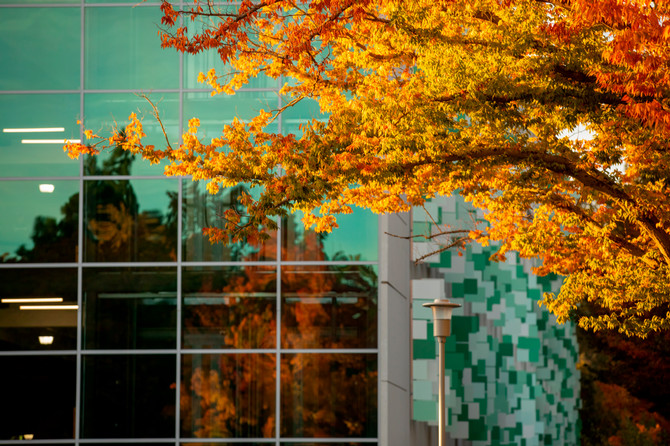 Connecting Minority Communities Pilot Program | Sacramento State