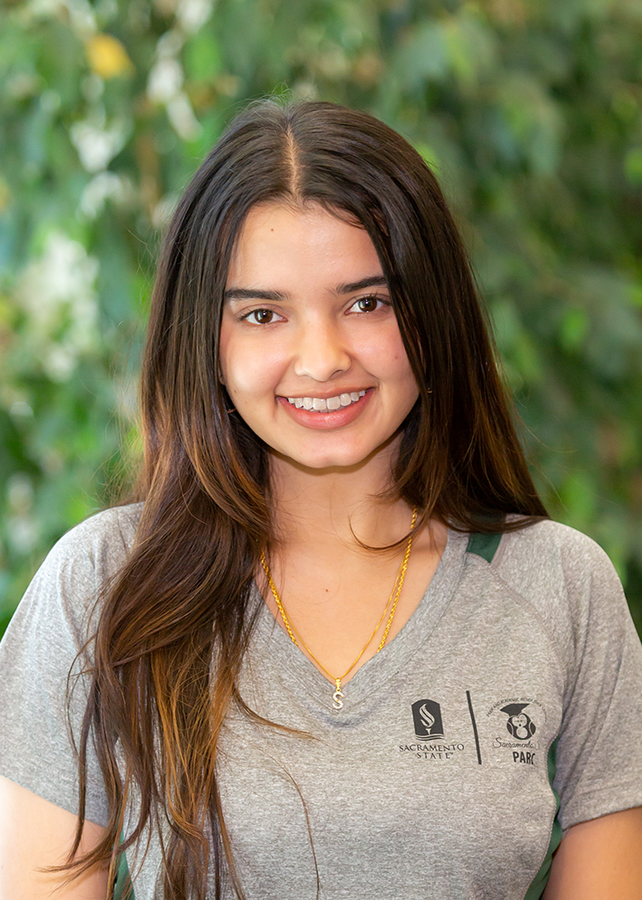 Meet the SI Team! | Sacramento State