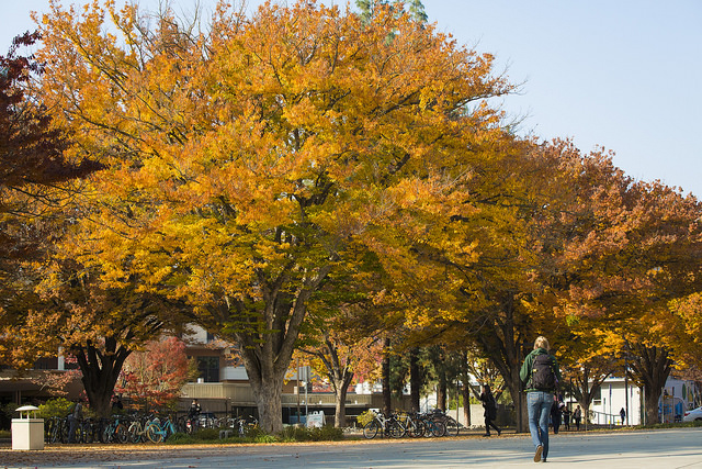 News & Announcements | Sacramento State