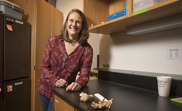 Sac State prof helps plumb ocean depths for climate clues | Sacramento ...