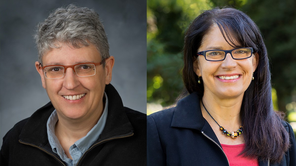 CSU honors two Sac State faculty for leadership, innovation ...