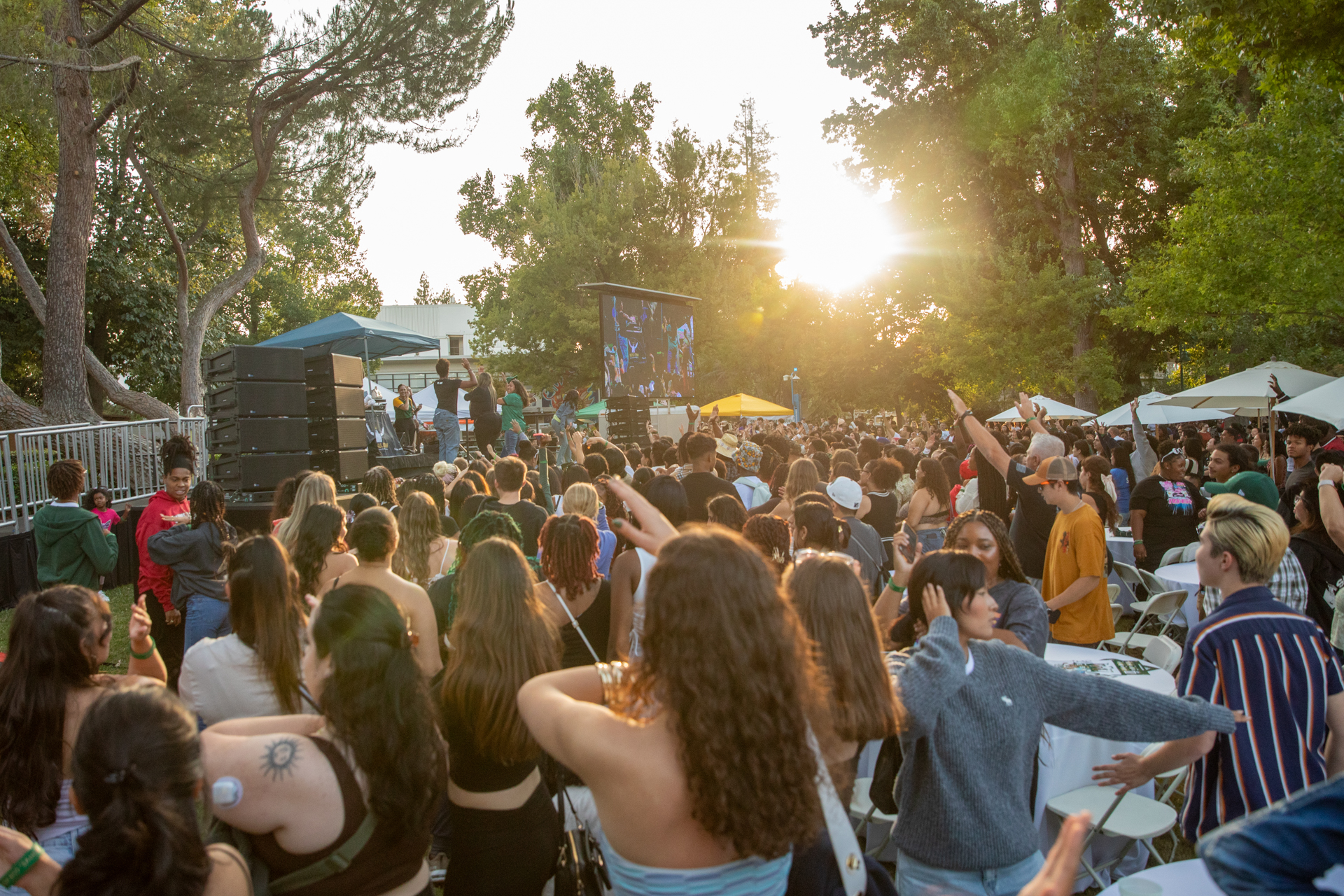 More than 10,000 attend Hornet Nest Fest celebration marking the ...
