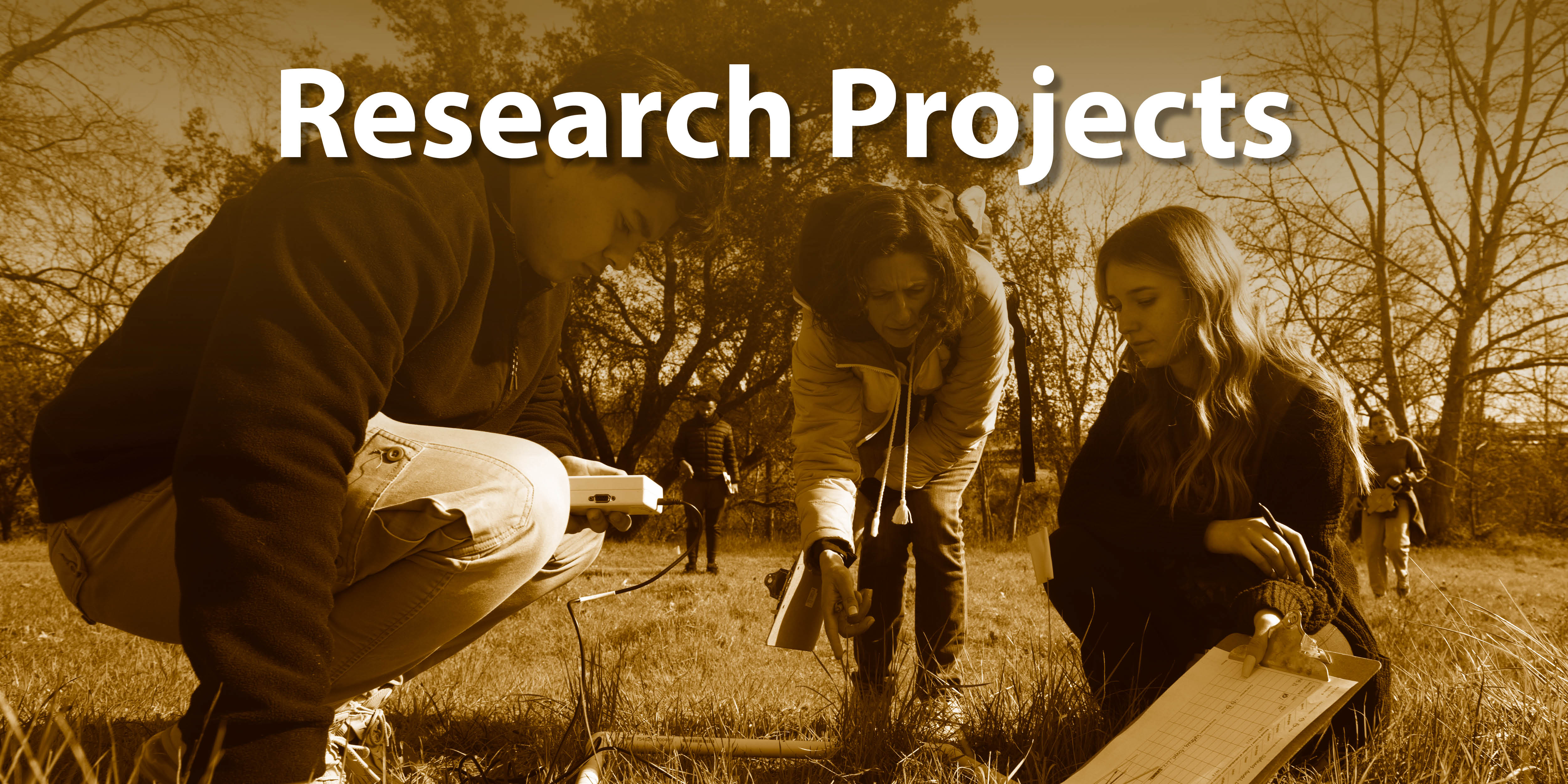 Faculty and Student Research | Sacramento State