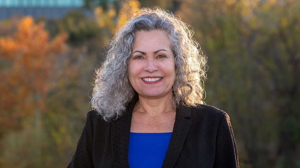 Arts and Letters Professional Seminar Series (ALPSS) | Sacramento State